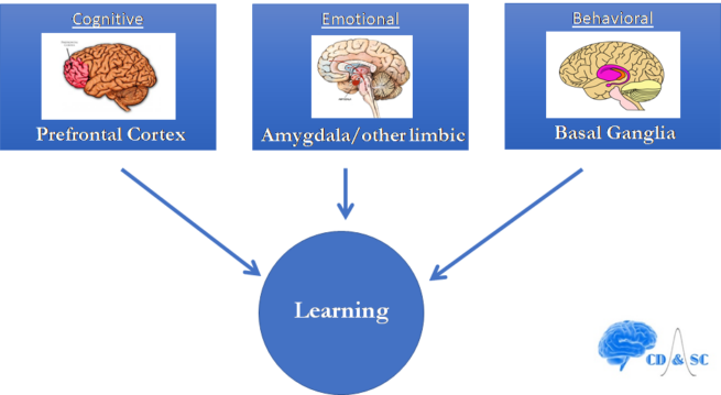Behavioral Intelligence: The Missing Link and Next Frontier in L&D ...