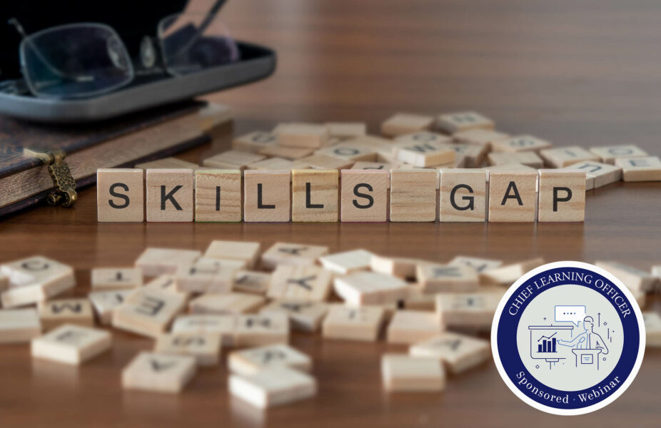 Addressing the Skills Gap by Identifying, Developing, and Rewarding ...