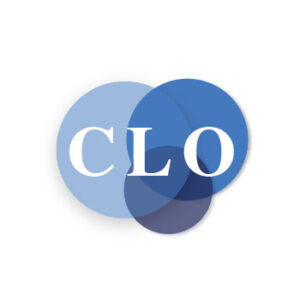 Building global connection – Chief Learning Officer