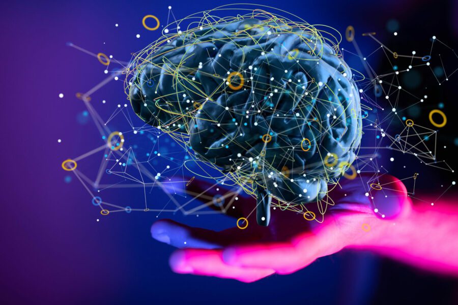 Neurons in the workplace: Looking at the learner through the lens of ...