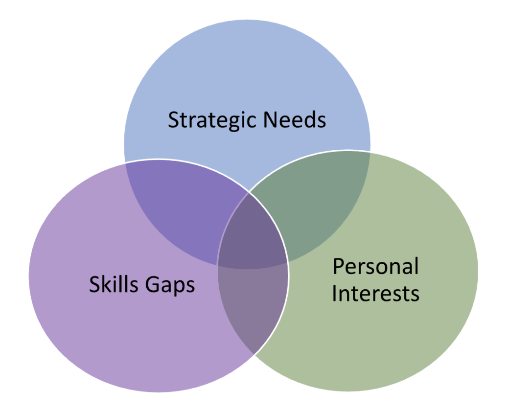 Merging strategy, skills gaps and personalized learning for maximum ...